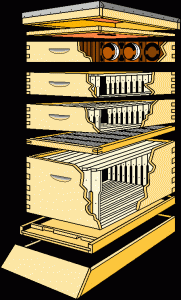 Beehives | Talking With Bees