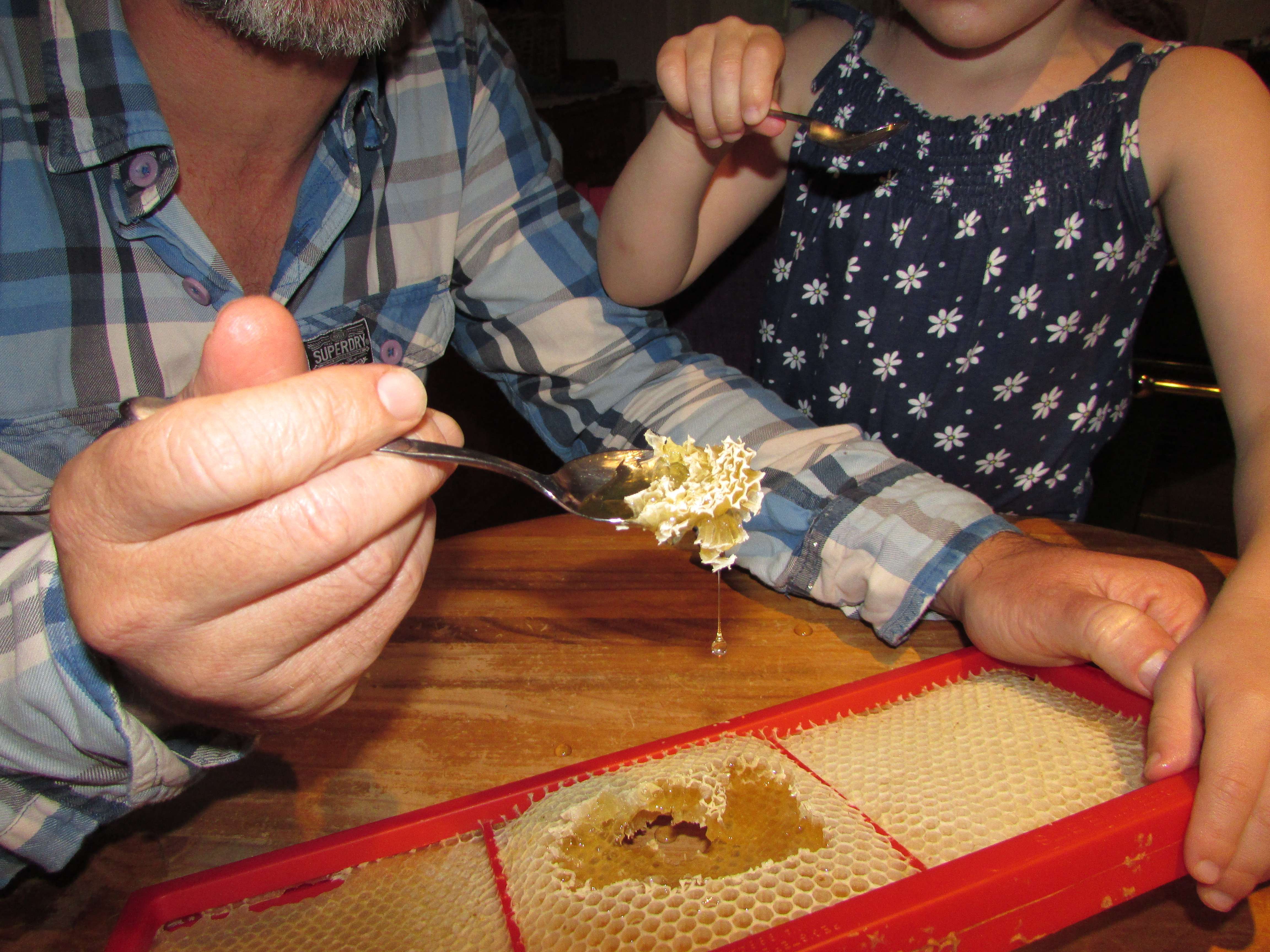 Enjoying Spring 2017 Honey From Comb | Talking With Bees