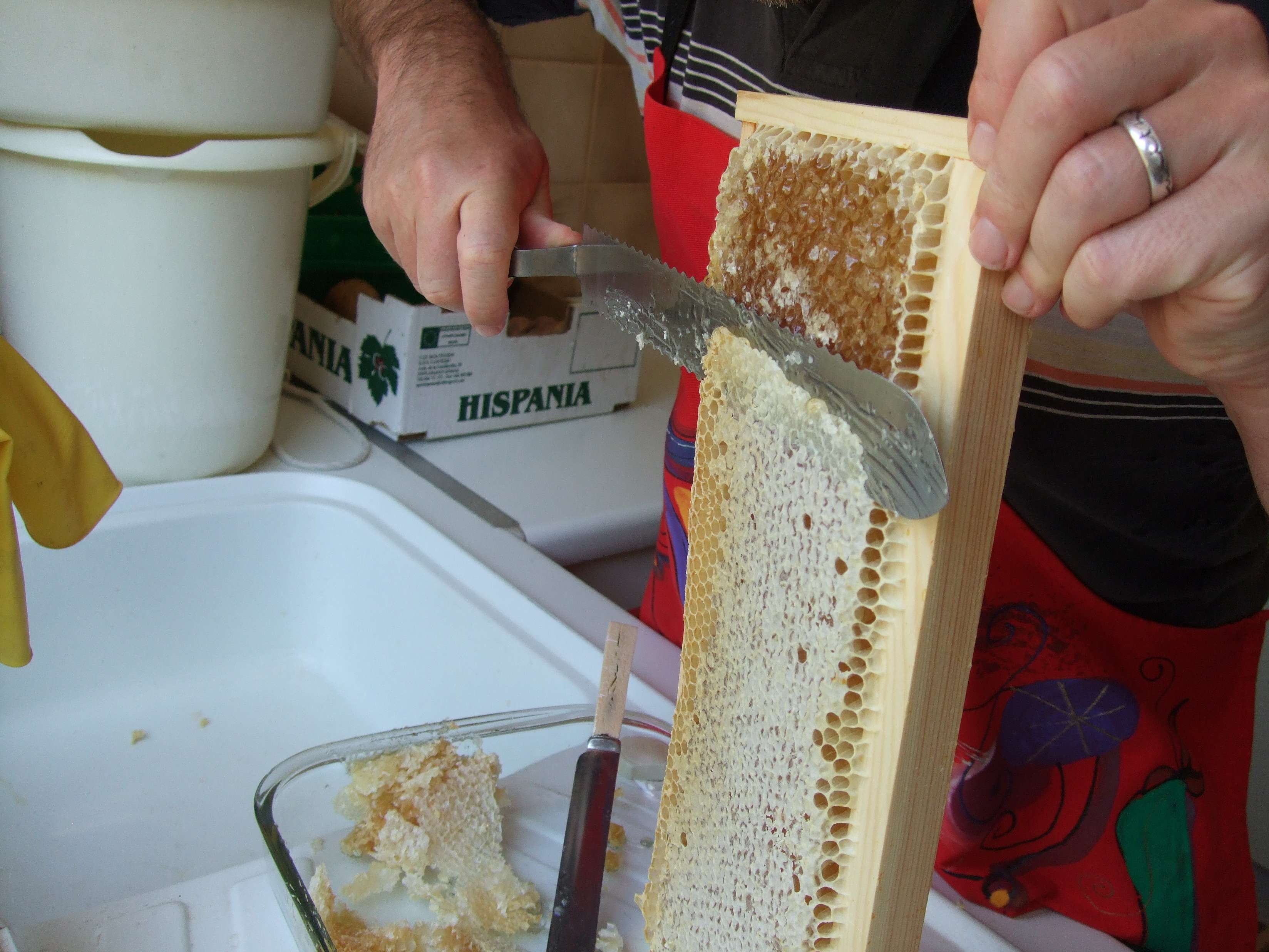 Harvesting Honey | Talking With Bees