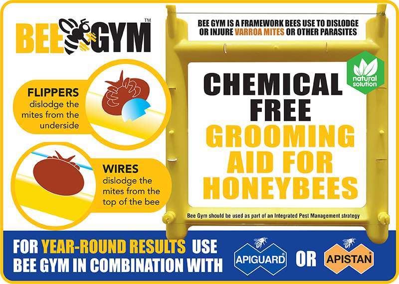 Bee Gym Review - Reduce Varroa | Talking With Bees