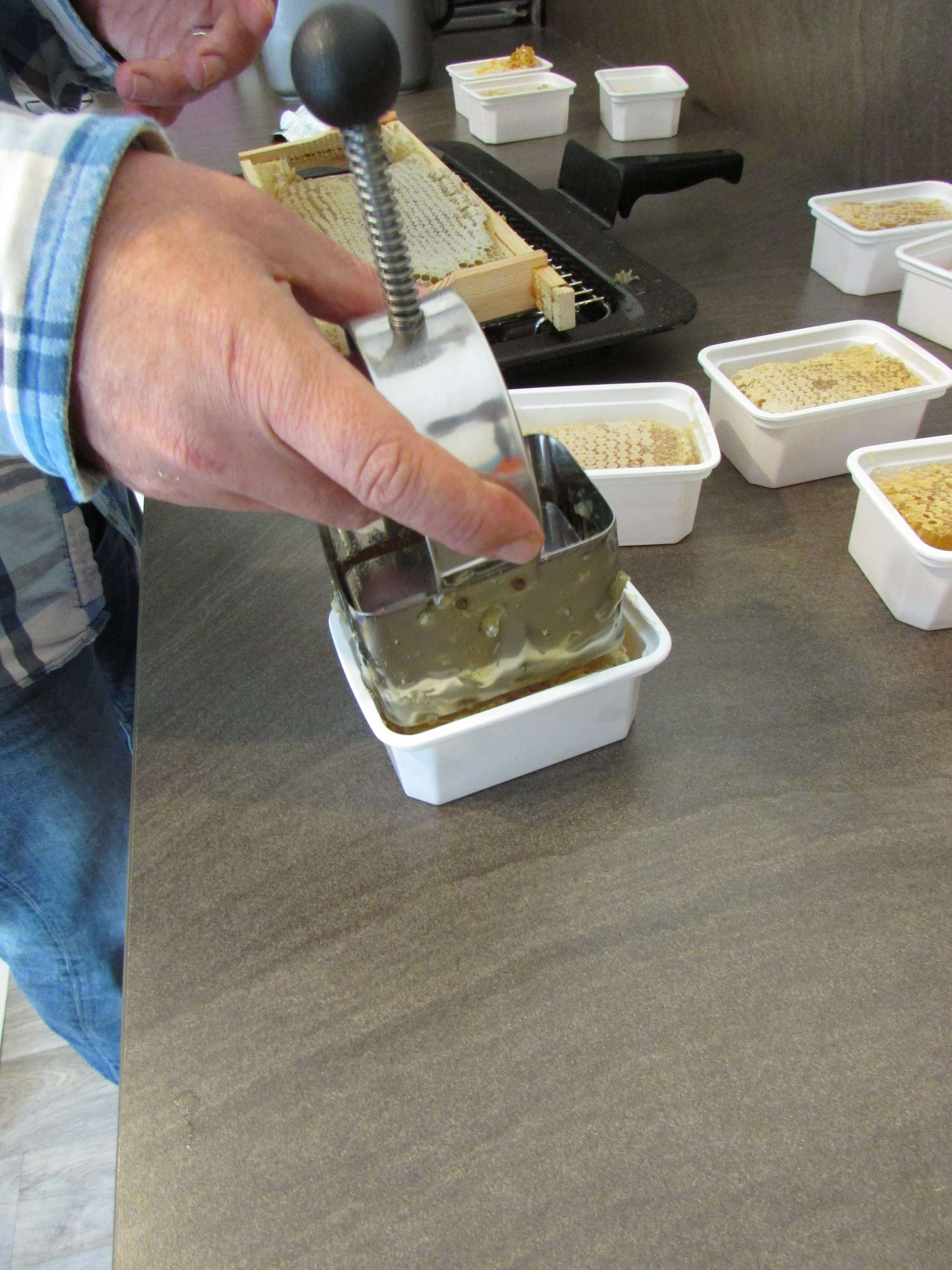 Cut Comb Cutter | Talking With Bees